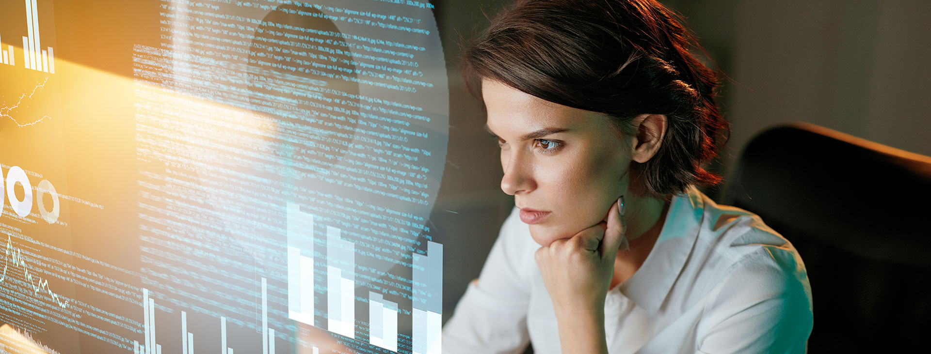 Scriptoria PMC – SaaS for International Development Projects